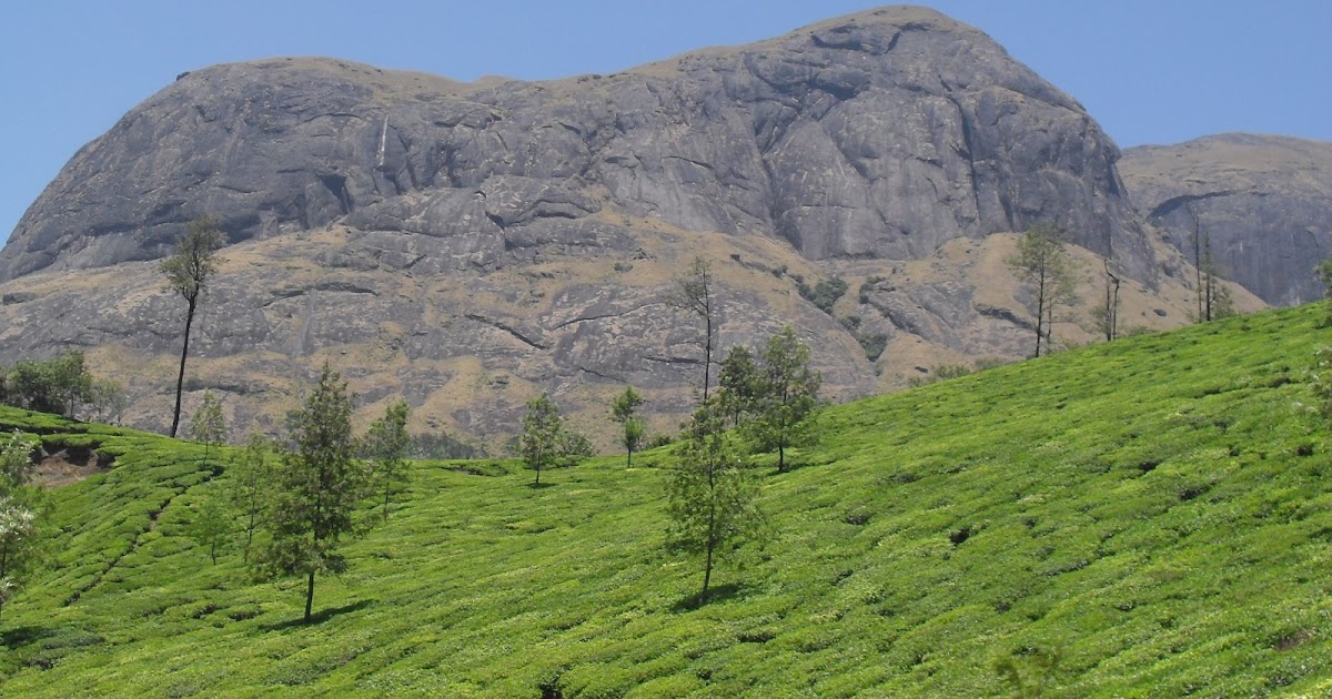 Anamudi Shola National Park