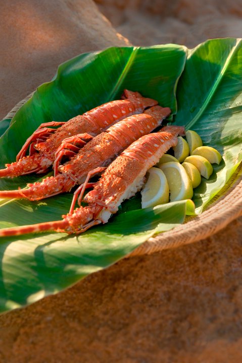 Passion For Luxury : La Sultana Oualidia Morocco