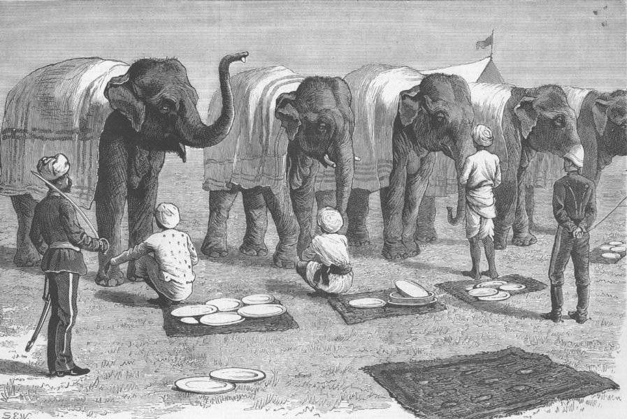 PEOPLE OF INDIA PHOTOS