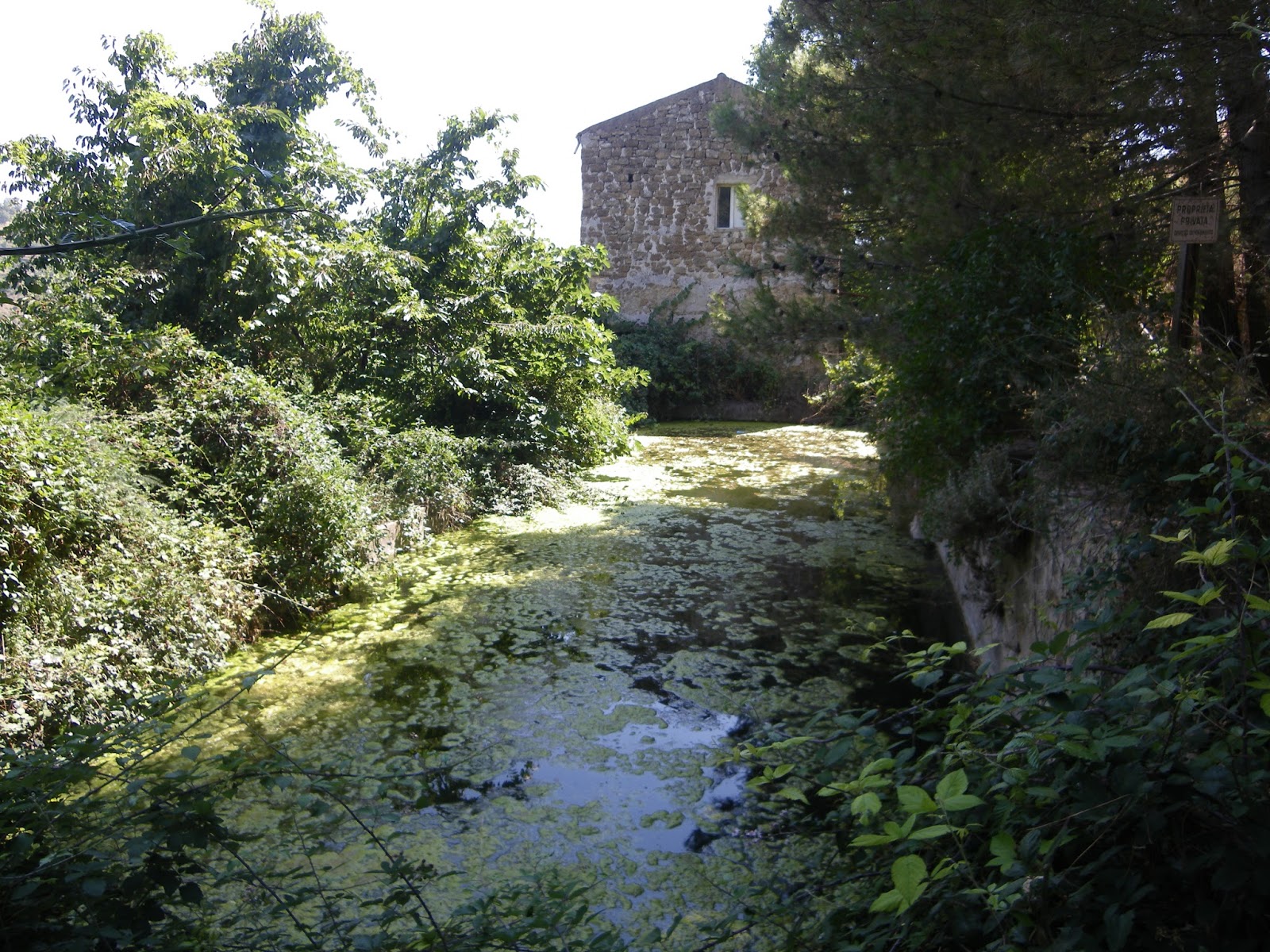 CRONOLOGIA DI PIAZZA ARMERINA: settembre 2013