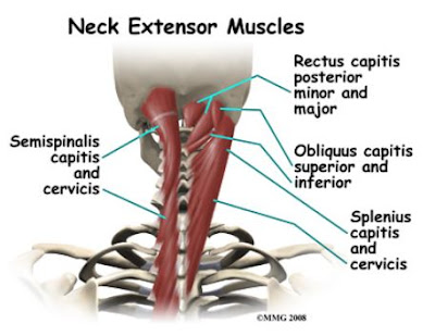 Living with Kennedy's Disease: Dropped-head Syndrome, An Update