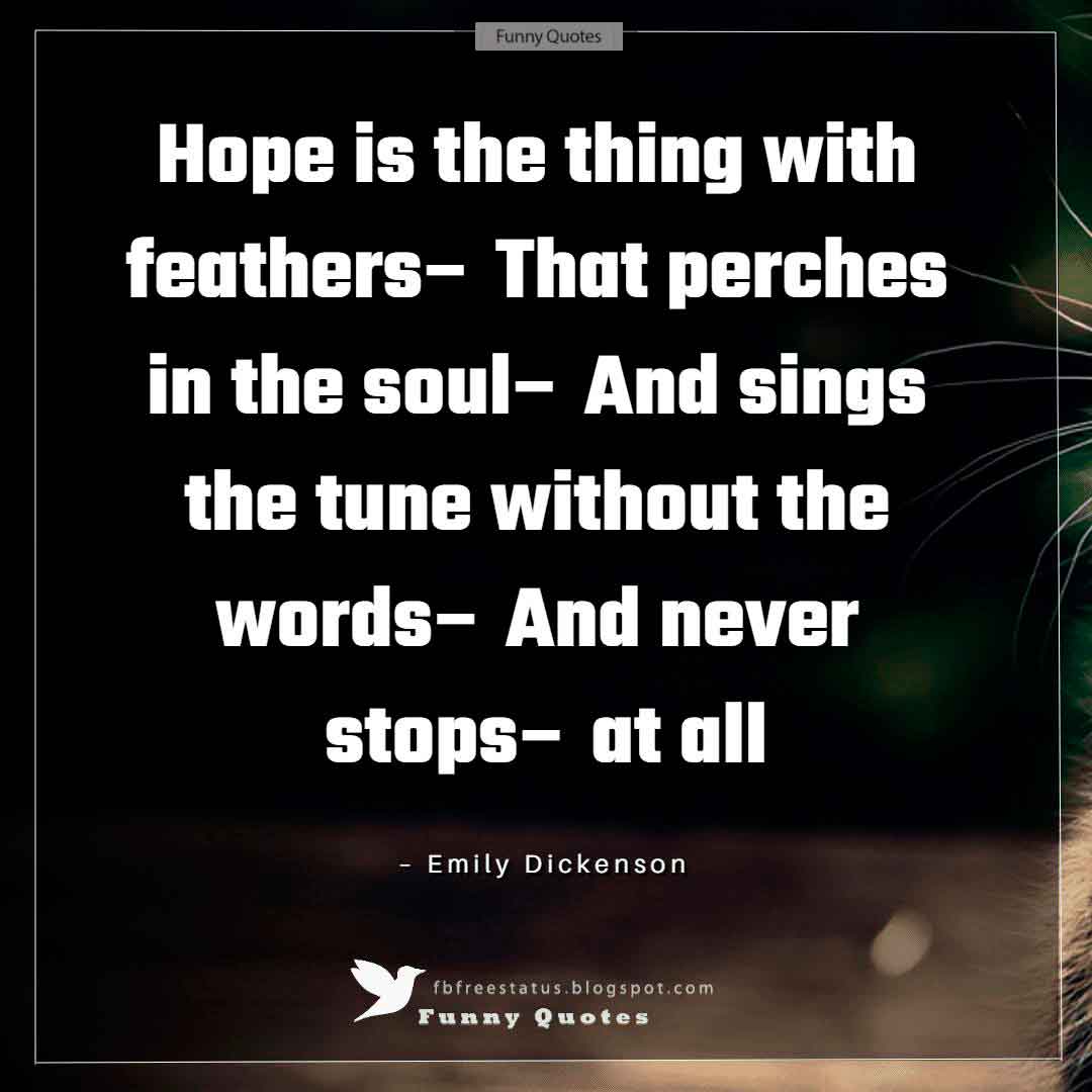 Hope Quotes and Hope Saying with Images & Pictures