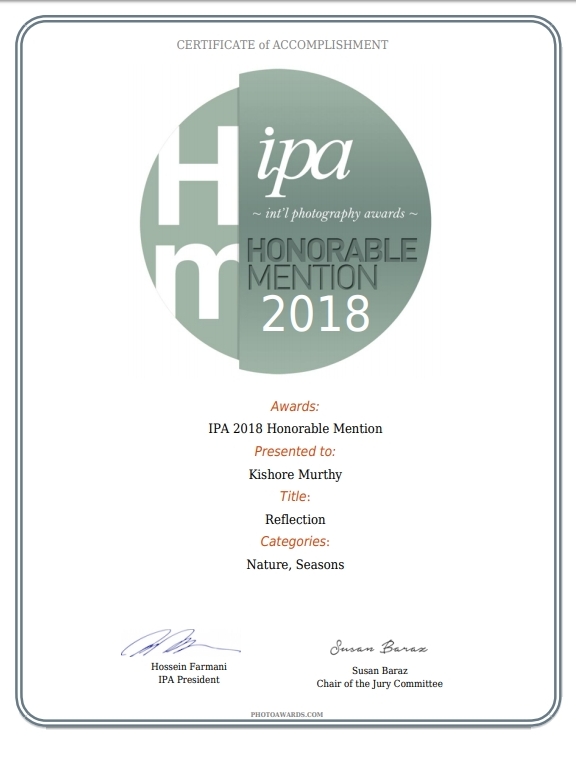 Awards & Achievements