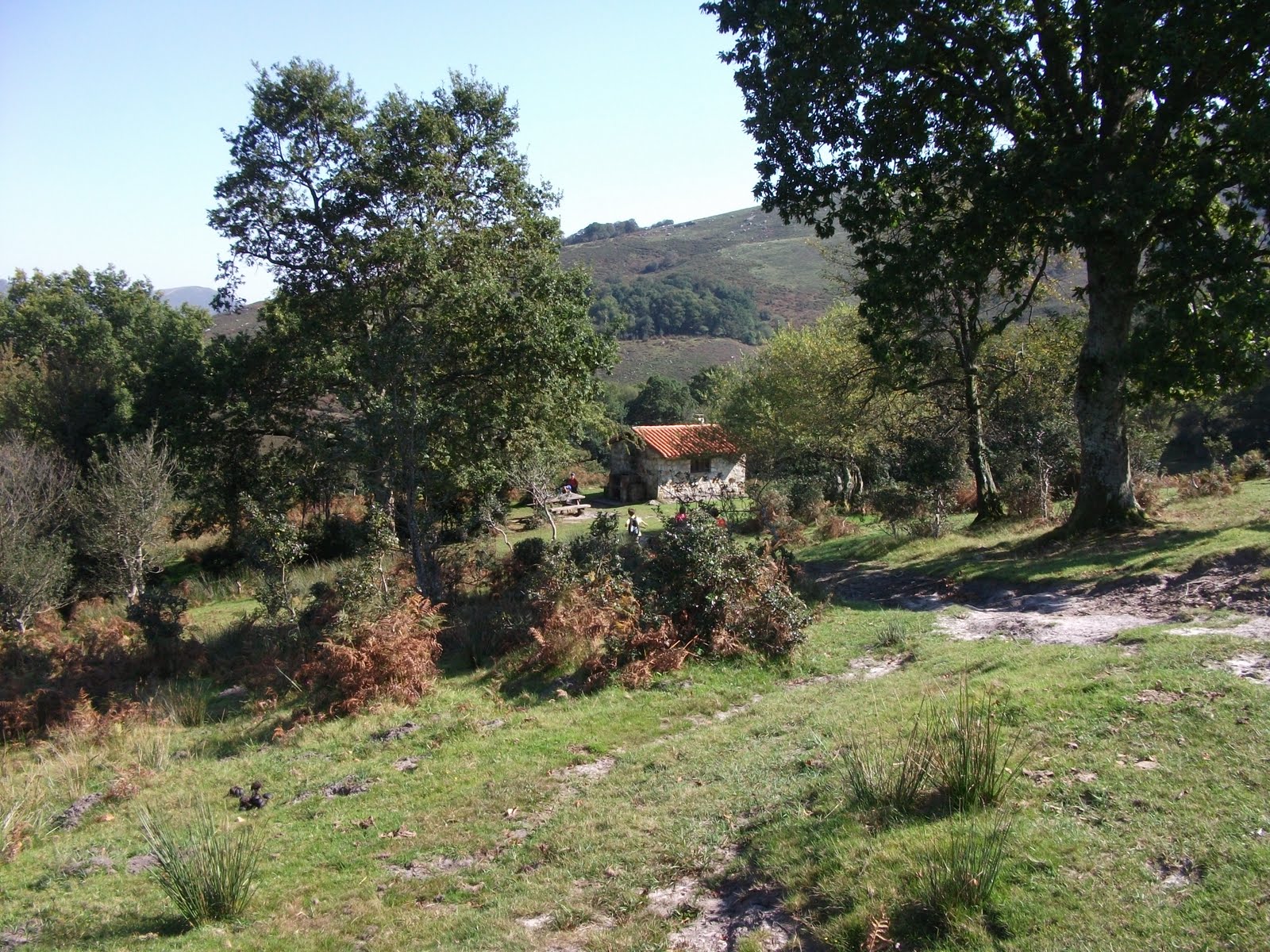 El blog del Concejon