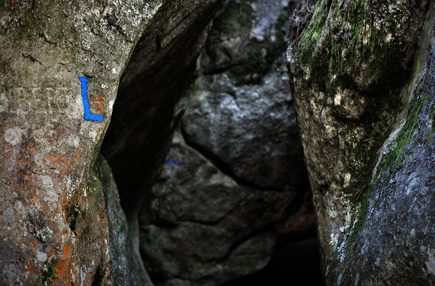 Le Rocher Saint-Germain, sentier Denecourt n°4.