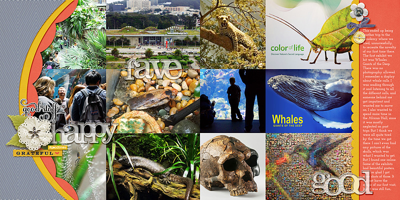 Using Contrast in Photo Collages / Scrapping with Liz