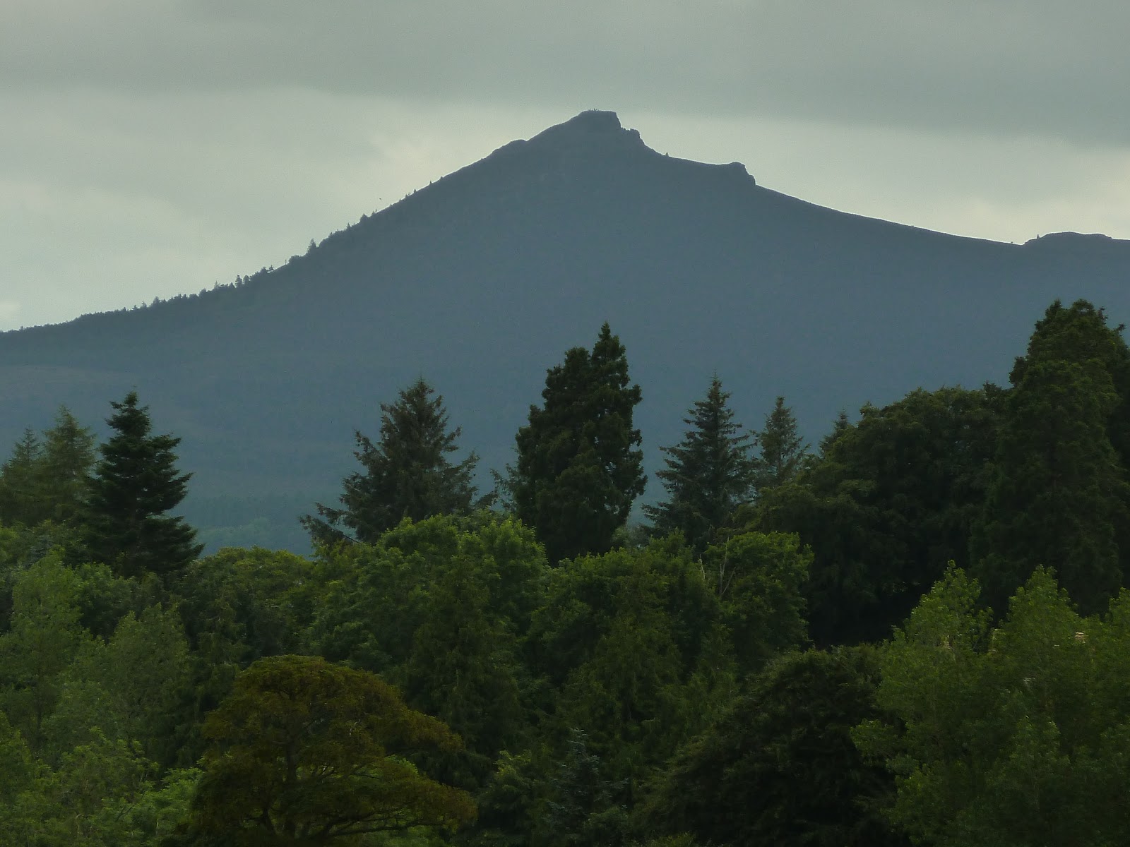 the outdoor diaries: Bennachie - Connections