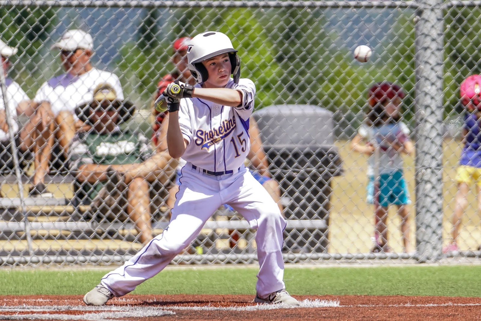 Shoreline Area News: Shoreline Little League Majors Baseball All-Stars ...