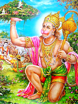 NIDAWANCHA HERBAL REMEDIES: SHERIKAR: LORD HANUMAN SANJEEVANI REMINDS ...