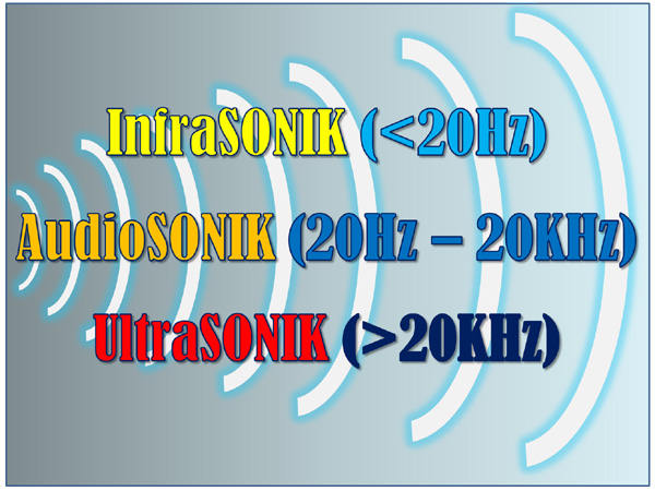 Penjelasan Bunyi Infrasonik, Audiosonik dan Ultrasonik - Tradisi ...