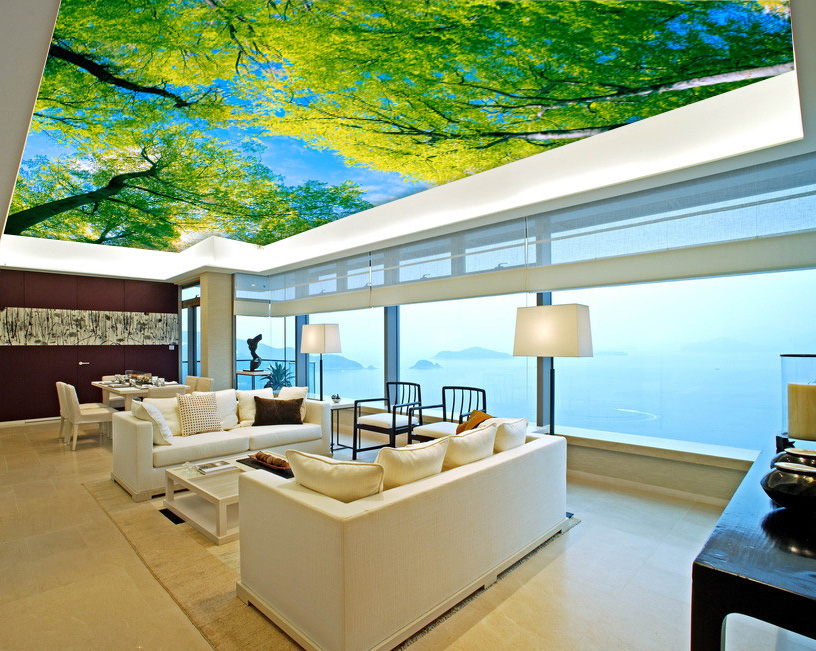 7 Inspirasi Plafon Unik Untuk Langit-langit Rumah Anda yang Polos ...