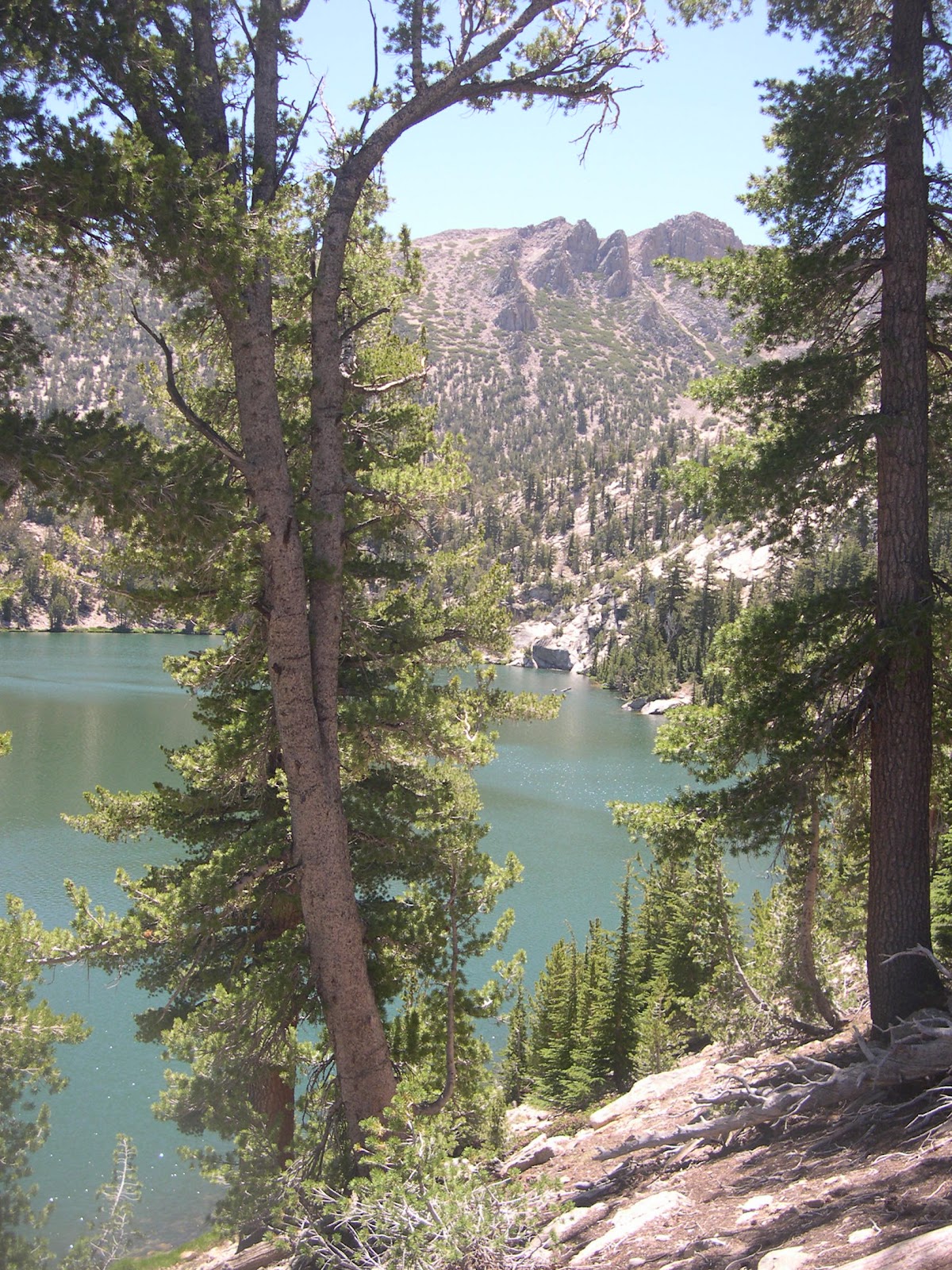 Anna Fortner gives PRO mountain biking a go