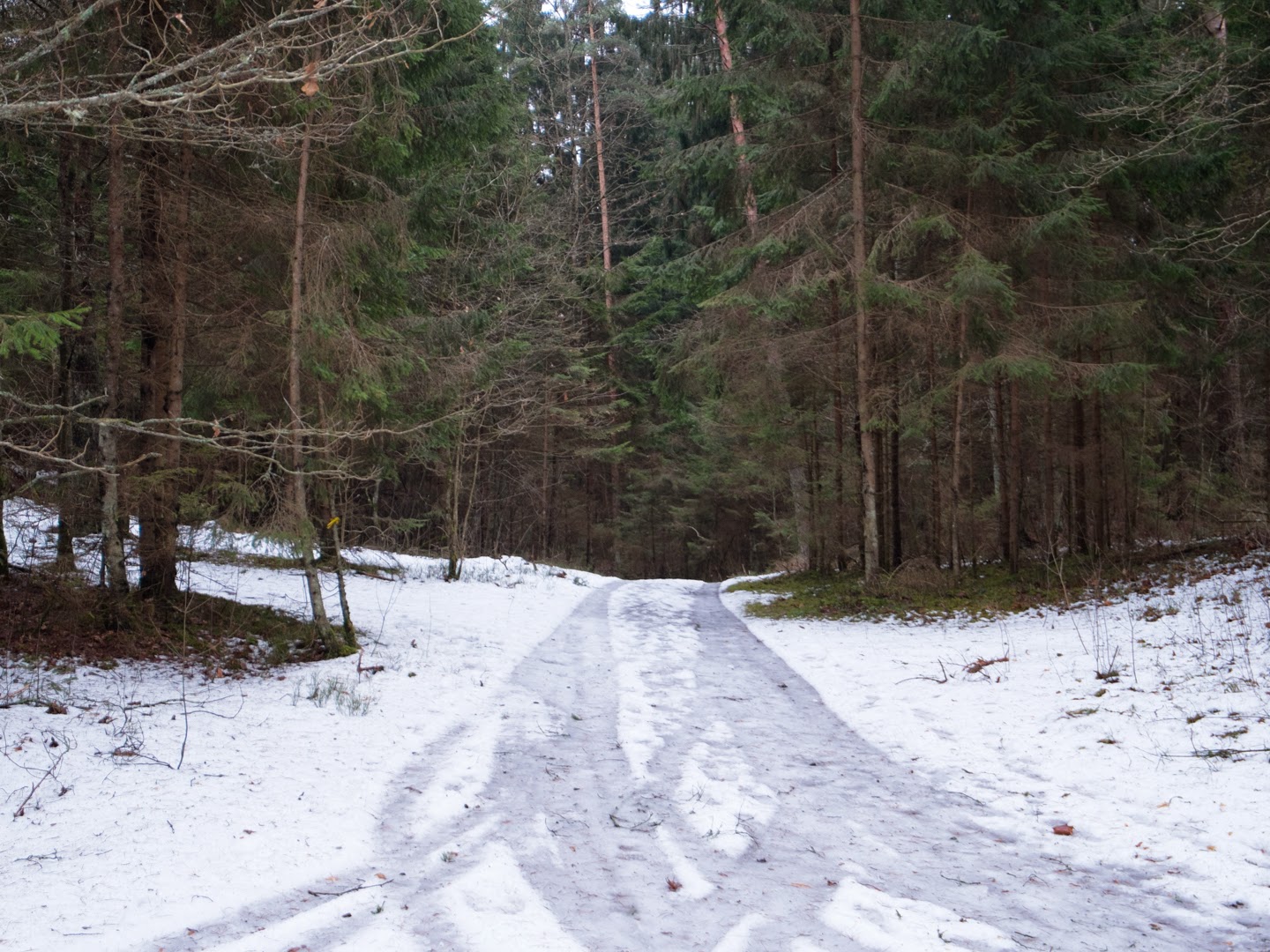 Hello Talalay: Wandering Around Rural Lithuania