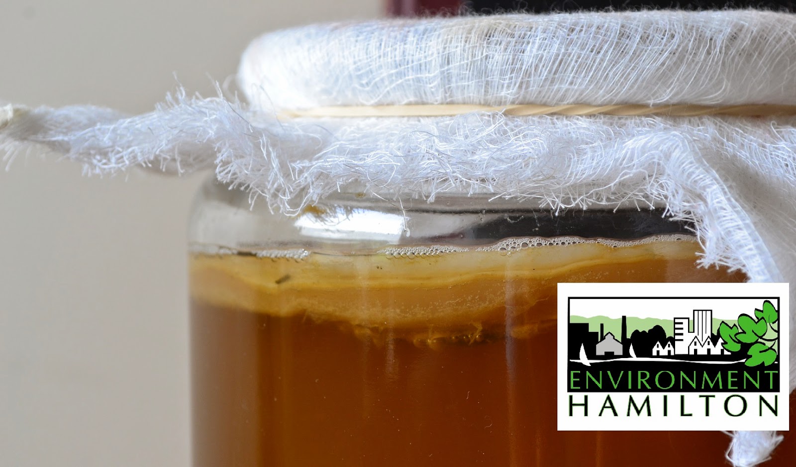 Greening Sacred Spaces Hamilton: Easy Fermented Beverages at Home with ...