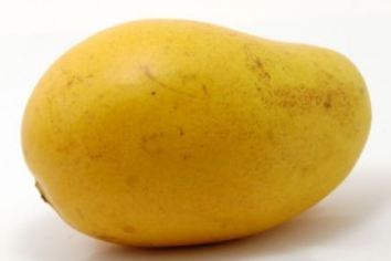 The Phytophactor: The best mango?