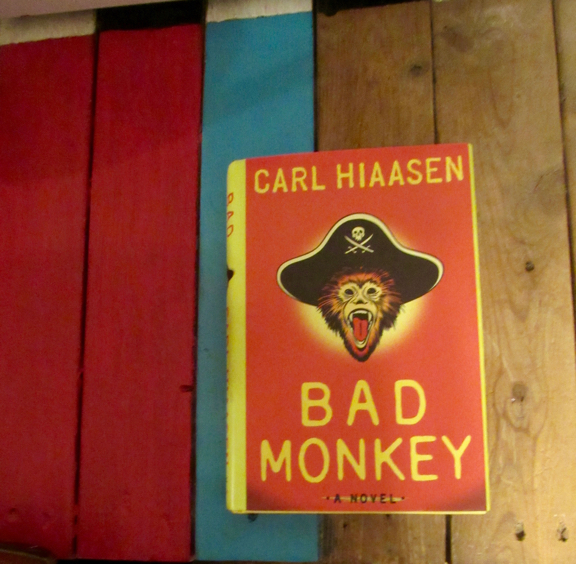 cousin nancy: Bad Monkey!