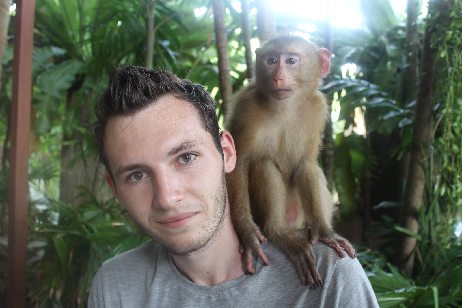 Our Thailand Trip: That Monkey Just Did A Wee on Me - Days 10 & 11