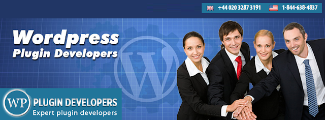 Wordpress Plugin Developer : What you need to know about WordPress ...