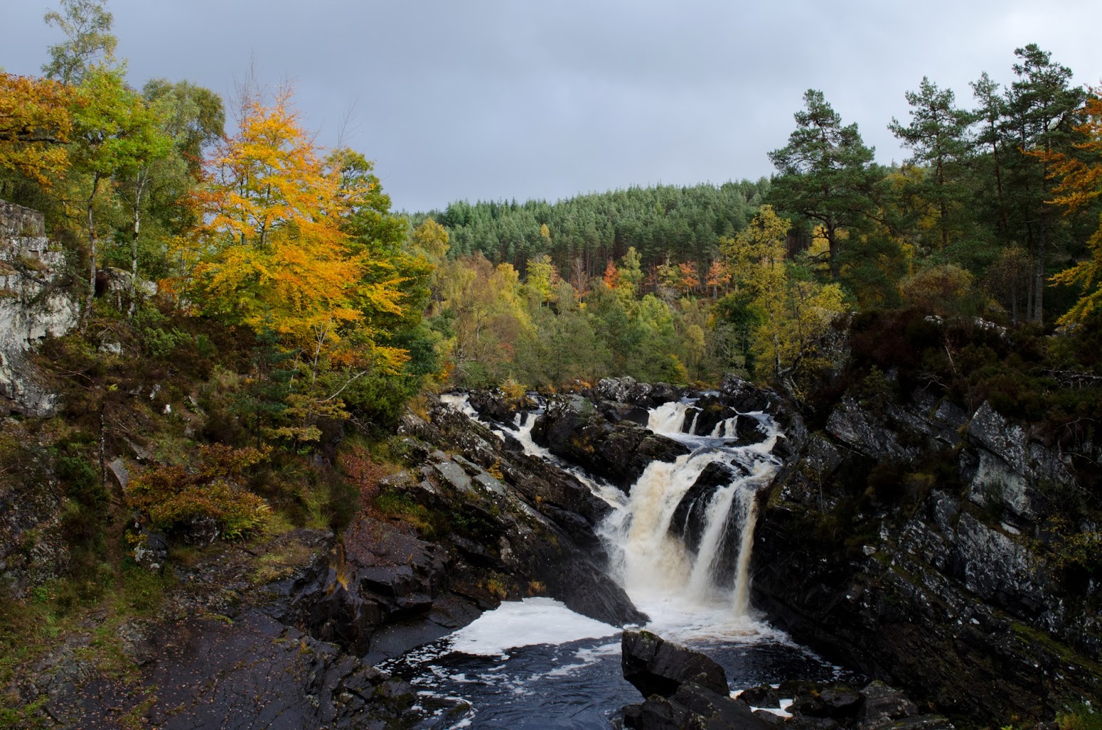 Mountain and Sea Scotland: Autumn's glory at Rogie Falls