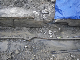 Analysis; Damage to a power network from multiple major earthquakes.