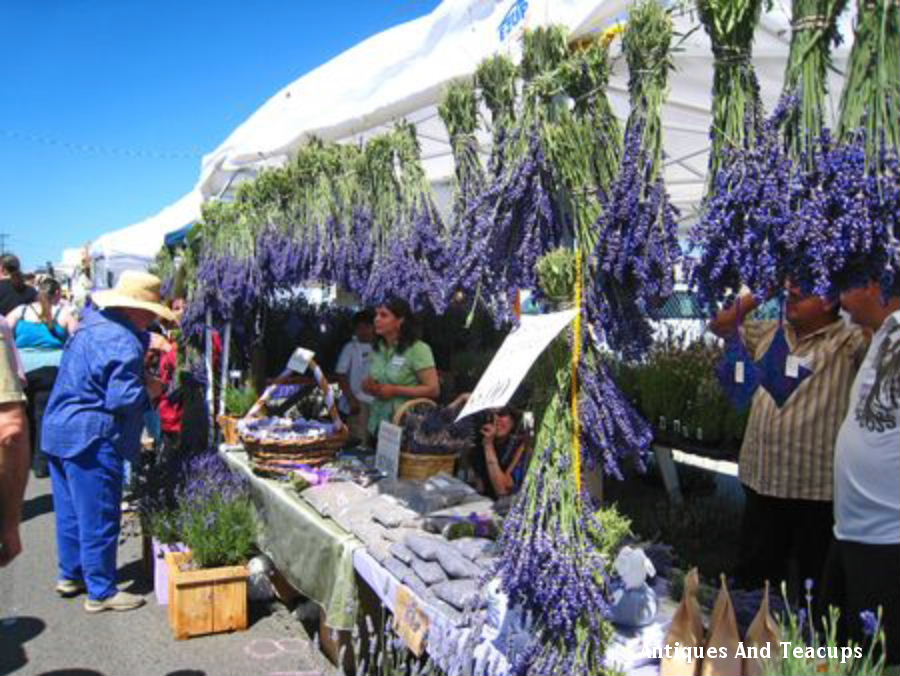 Antiques And Teacups: Sequim Lavender Festival Tuesday Cuppa Tea