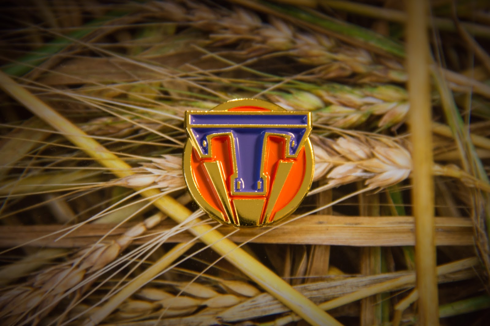 The Dreamer's Replica Pin ~ Tomorrowland Times