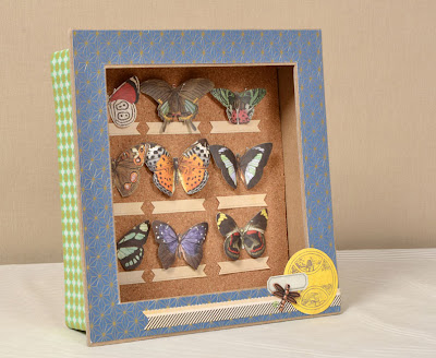 sei lifestyle: Shadow Box Ideas Galore!