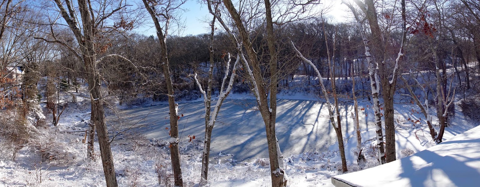 Joe's Retirement Blog: Spring at the Pond, Manomet, Plymouth ...