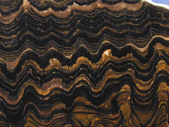 Suburban spaceman: Earth's Oldest Fossils: Stromatolites