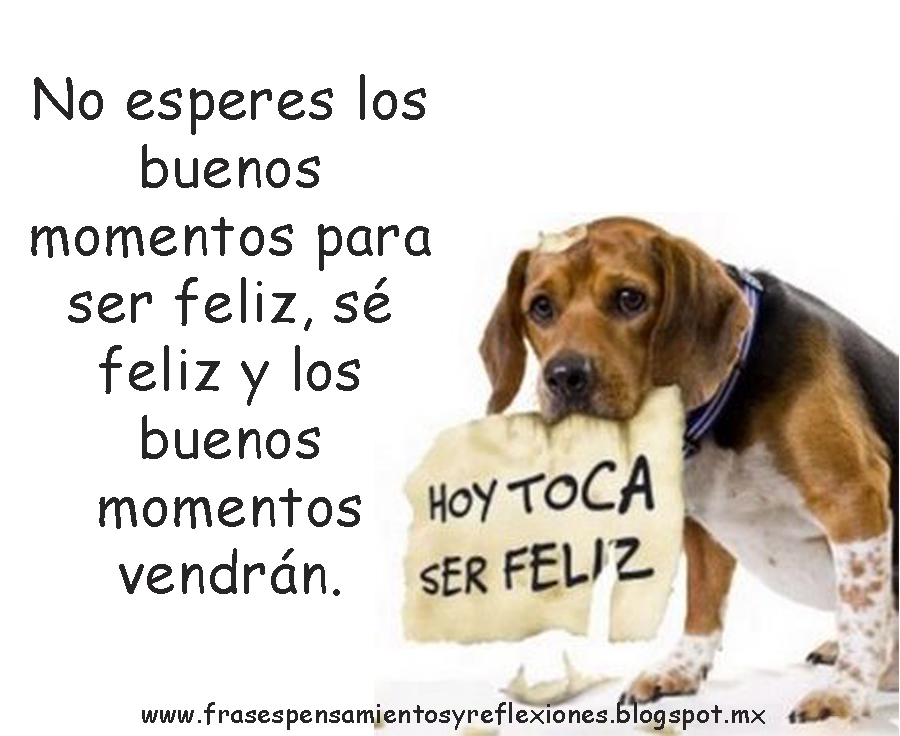Frases Pensamientos Y Reflexiones: Frases De Felicidad