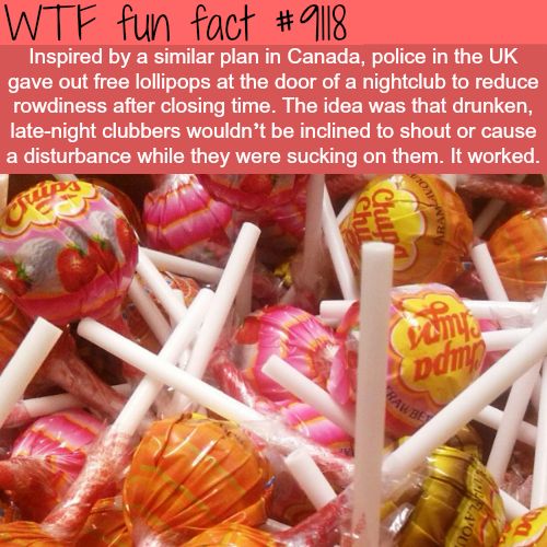 60 Amazing Random Facts | Amazing WTF Facts