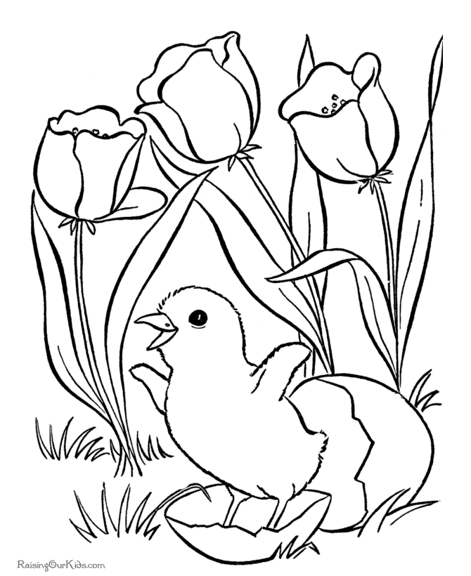 Easter Flower Coloring Pages - Flower Coloring Page