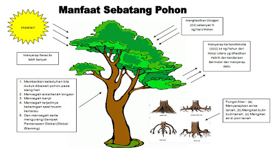 Ibu Bumi: Manfaat Sebatang Pohon (Menebang Sebatang Pohon = Membunuh 2 ...