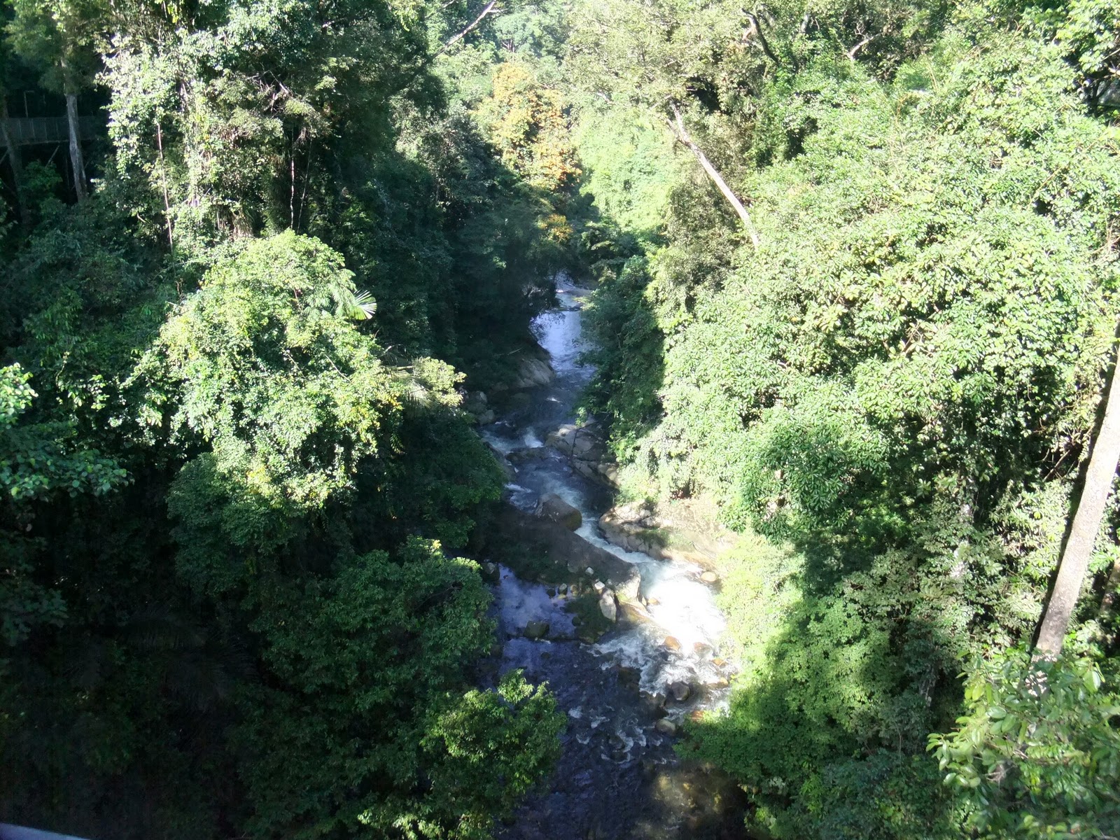 haPpY HaPpY: Tree Top Walk @ Sg. Sedim, Kedah