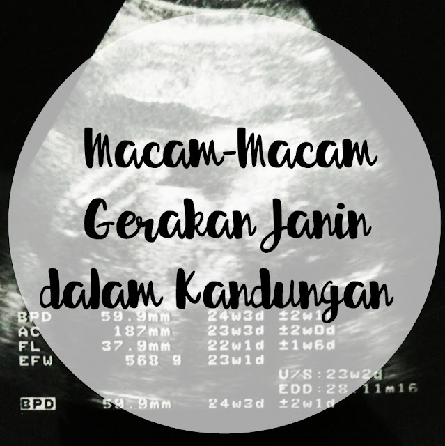 Macam-macam Gerakan Janin dalam Kandungan - Cerita Cha Tentang Hal Biasa