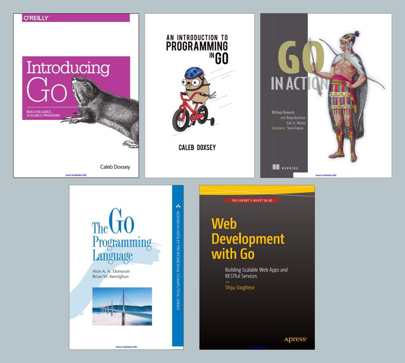 Programación Ejemplos Manuales Y Más Go Golang Ebooks Pdf Mega