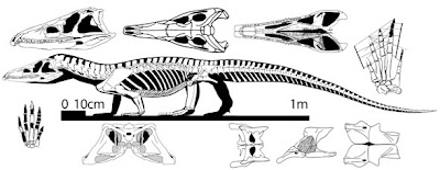 Escenarios prehistóricos: Proterosuchus