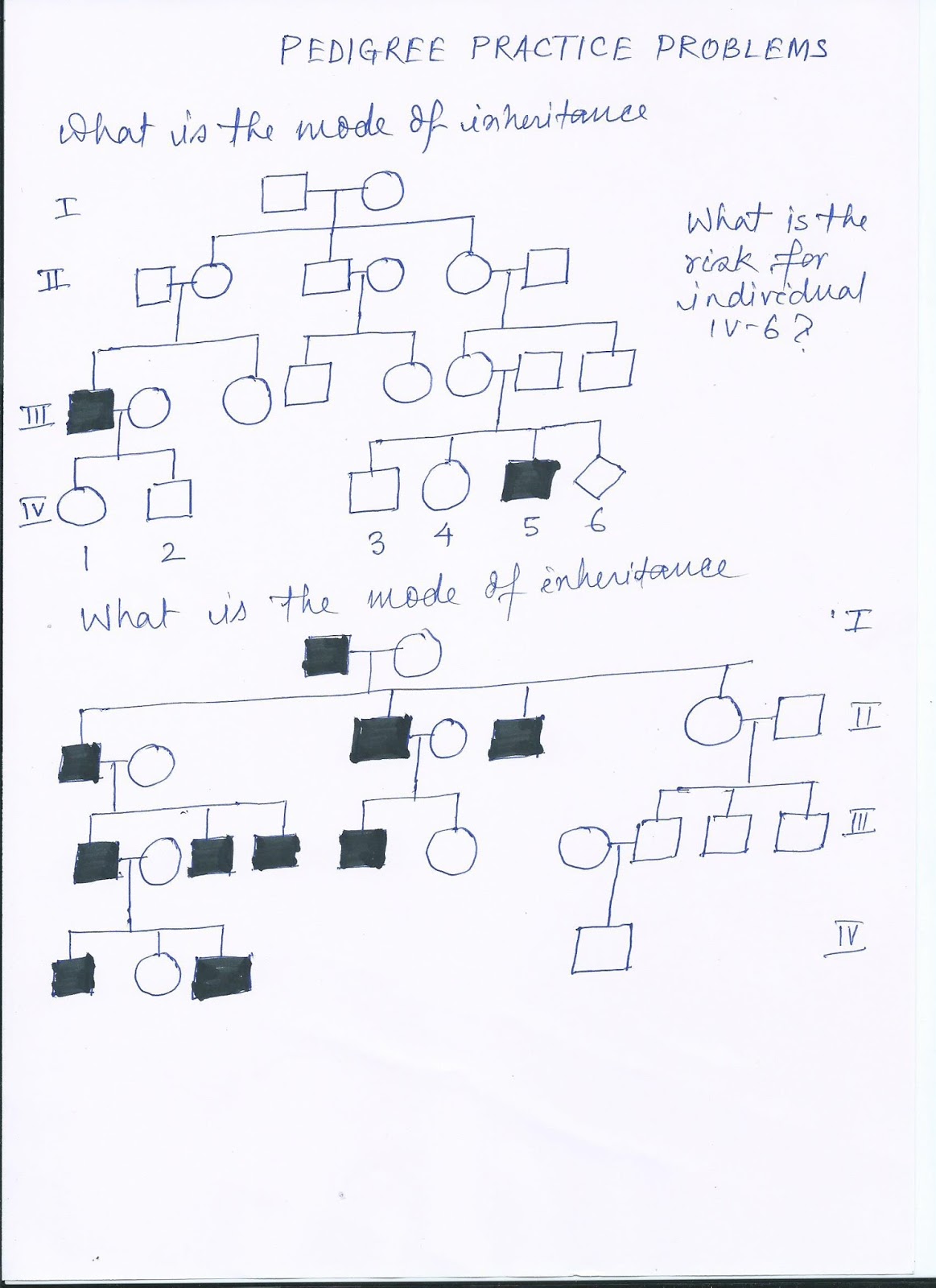 PEDIGREE ANALYSIS XII