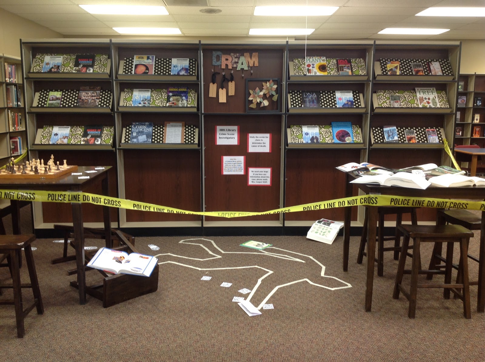 Tales of the Library Lady...