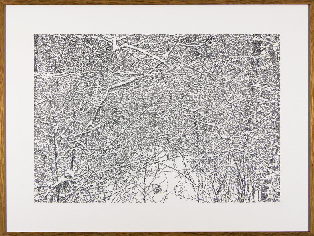 Richard Müller: Dessins récents, 2012