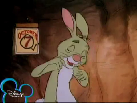 The New Adventures of Winnie The Pooh: Caws and Effect Part 1