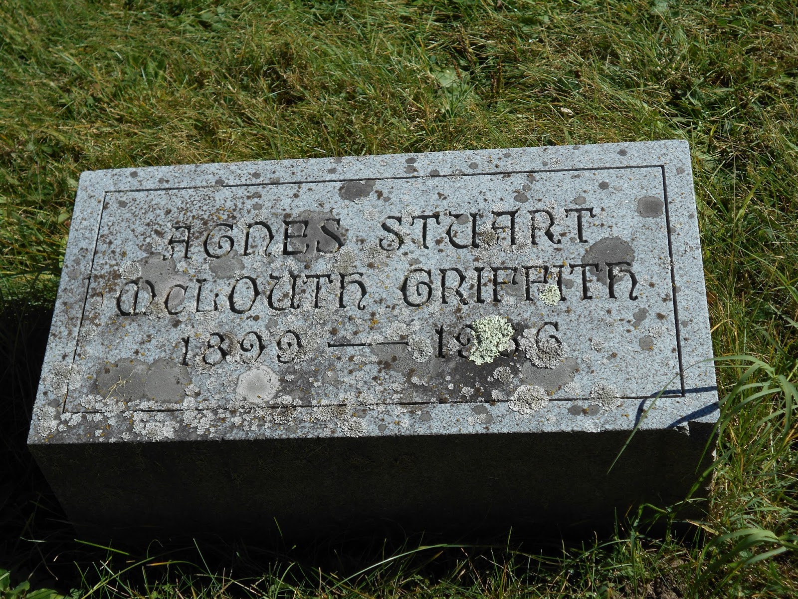 New York State of Mind: SENATOR HENRY W. GRIFFITH