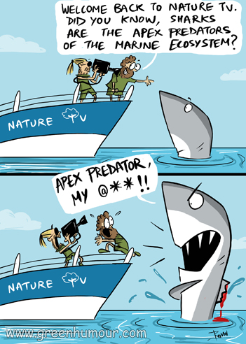 Green Humour: Shark 'Weak'!