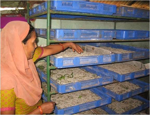 the silkworm: Sericulture empowers women in the fragile Kandi belt of ...