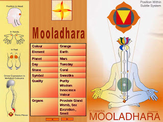 Legacy of Wisdom: Mooladhara Chakra