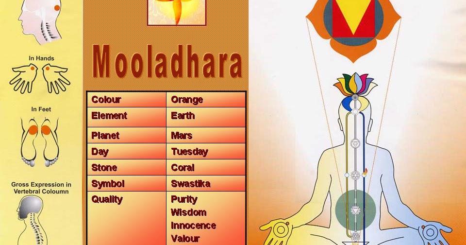 Legacy of Wisdom: Mooladhara Chakra