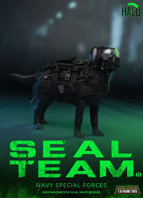 toyhaven: Mini Times Toys 1/6th scale SEAL Team Navy Special Forces ...