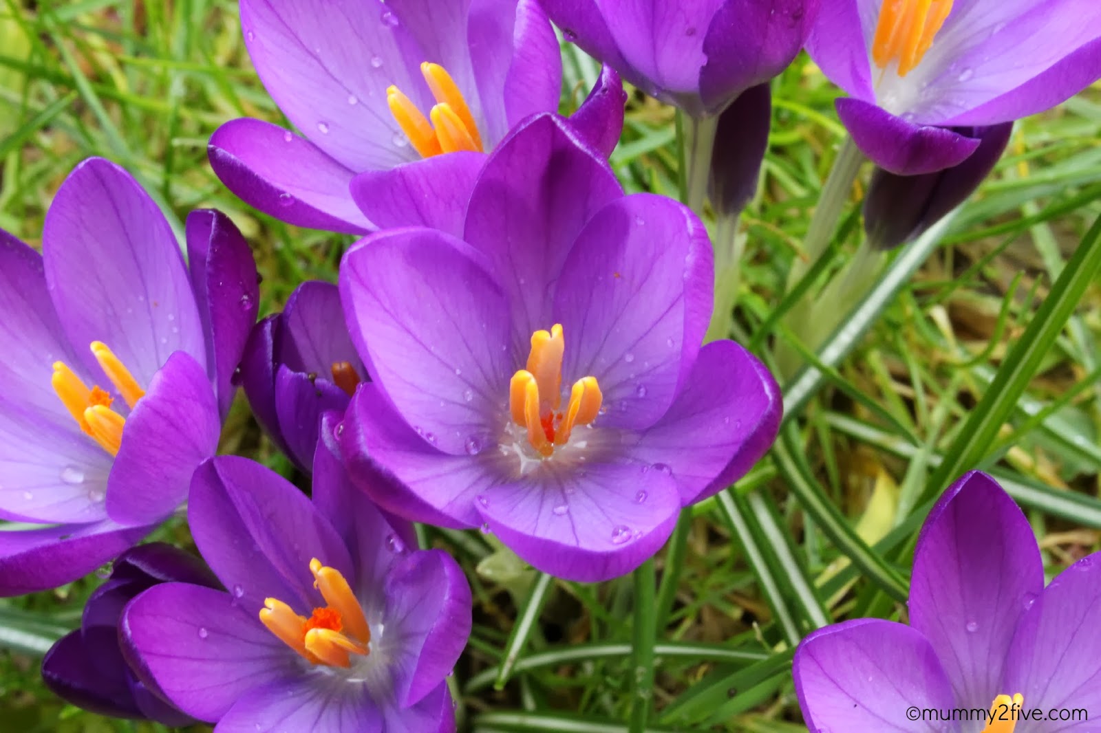 Craftaholic: Memory Monday 8/2014