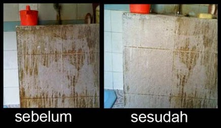 oryon: Cara membuat pembersih porselin ala harpic, viksal