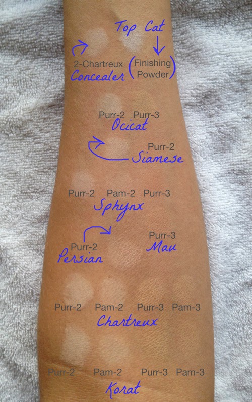 Meow Cosmetics - Mineral Foundation Swatches | Crappy Candle